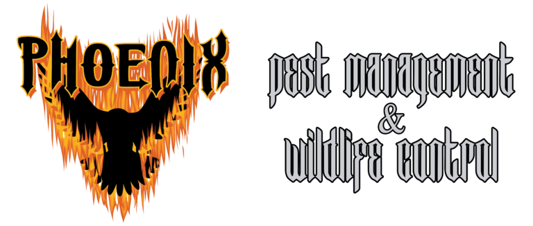 Pest Control Tarpon Springs | Exterminator Pinellas | Pest Control Pasco