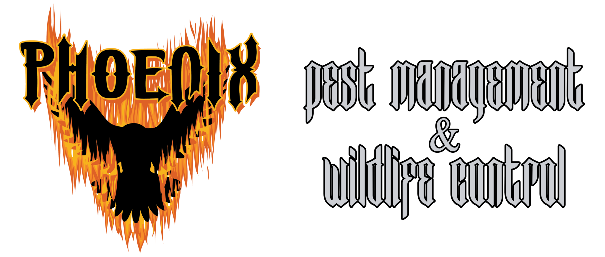 Pest Control Tarpon Springs | Exterminator Pinellas | Pest Control Pasco